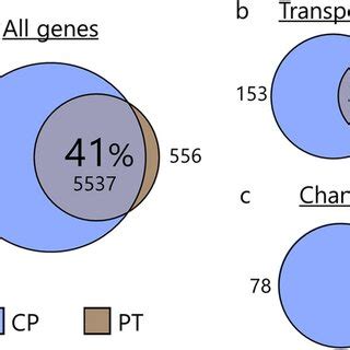 Sex Comparison Of Transcribed Genes In Choroid Plexus Depiction Of The Download Scientific