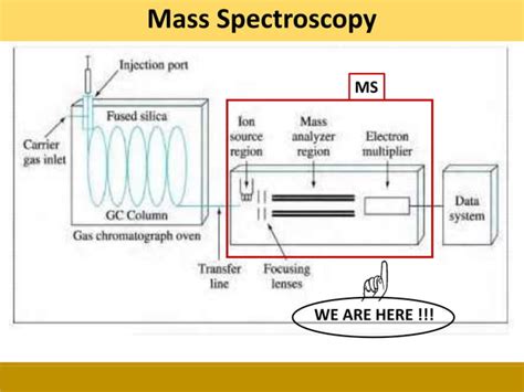 Gas Chromatography And Mass Spectroscopy Pptx Chemistry Science