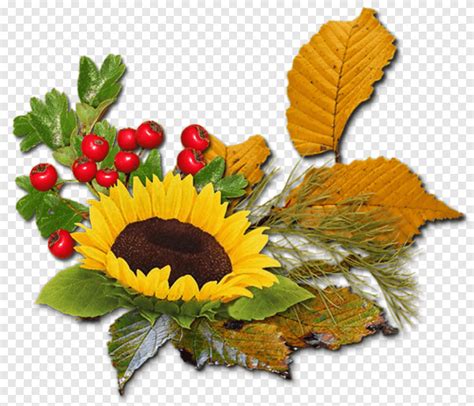 플로랄 디자인 컷 꽃 꽃 부케 가을 데코 꽃꽂이 해바라기 Png Pngegg