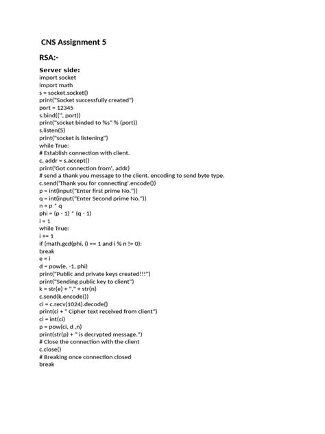 Cns Assignment 5 Pdf