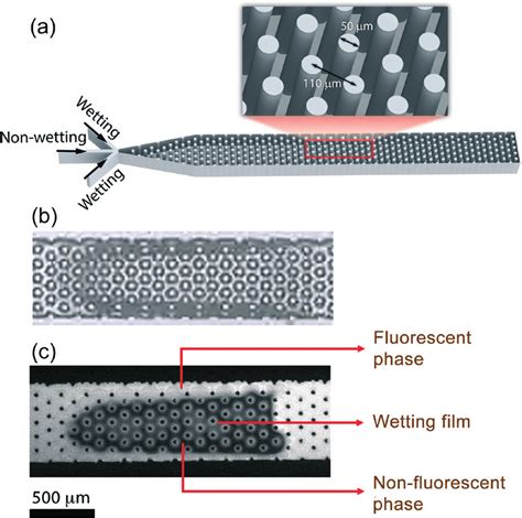 a scheme of the post microreactor design with inset showing post