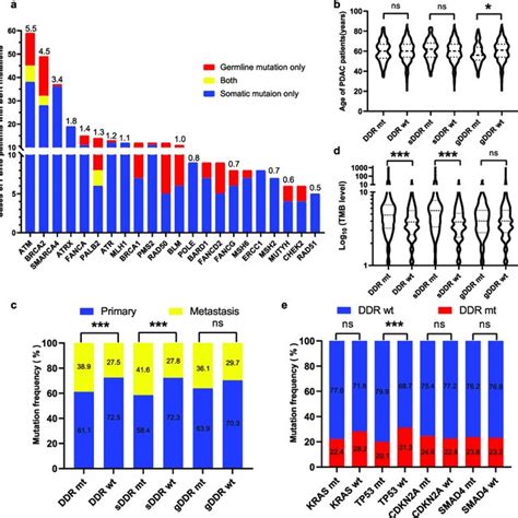 The Core Ddr Genes With Somatic And Germline Mutations In Chinese Pdac