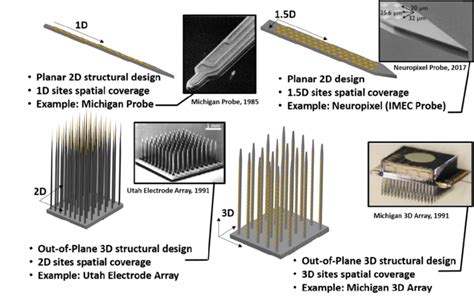 Figure1 Electrode Arrays Structural Design And Spatial Coverage A Download Scientific