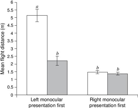The Mean Flight Distance With SE Bars N According To Left White Download Scientific