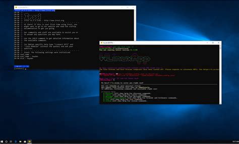 Pengwin Wlinux La Distro Per Il Wsl Arriva Alla Versione 12 Linux