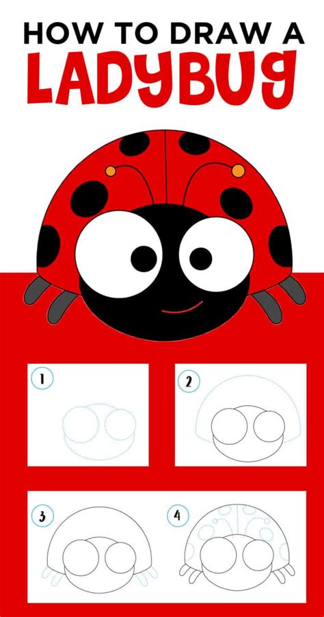 How To Draw A Ladybug Step By Step