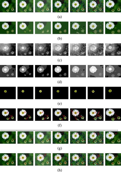 attentional selection of the proposed oba model and itti s space based