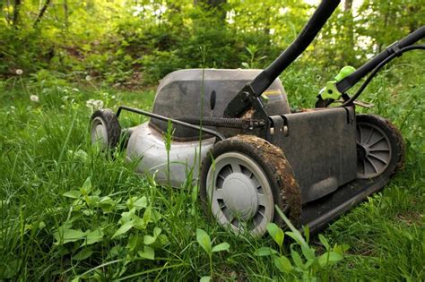 Premium Photo Low Angle Close Up Lawnmower Cutting Long Grass Or Concept Of Not Cutting To