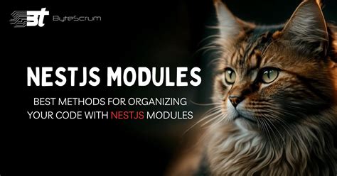 Nestjs Module Best Practices For Clean Code Organization