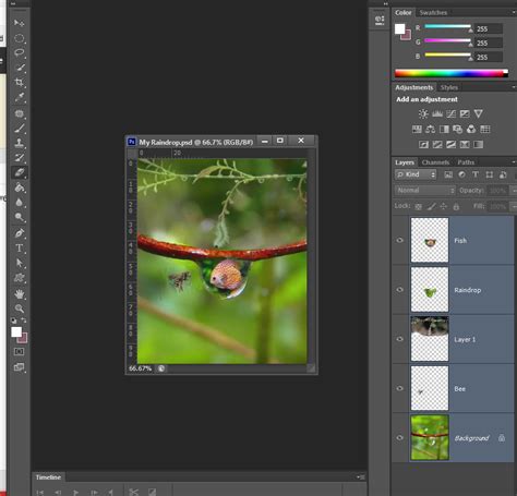 Solved Transform Tool Adobe Support Community 9242369
