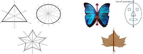 Figure 1 From Cancer Tissue Sample Classification Using Point Symmetry Based Clustering