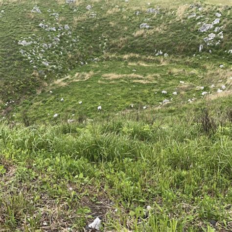 Stream Mtom Ft Iymph By Kikysoma Listen Online For Free On Soundcloud