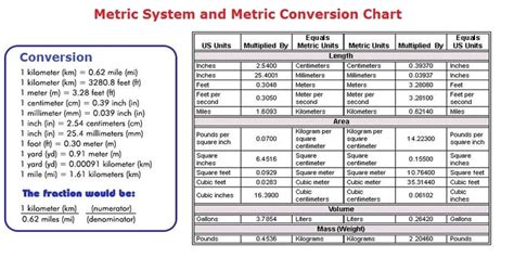 Metric System Image Anatomy System Human Body Anatomy Diagram And Chart Images