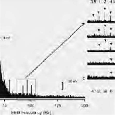 a assr stimuli time and frequency spectra of multiple auditory steady
