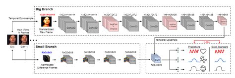 rPPG论文阅读BigSmall Efficient Multi Task Learning for Disparate Spatial and Temporal