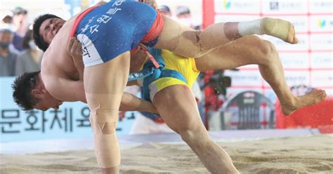 K 씨름 확 달라진다 강릉단오장사대회 고품격 출발점으로
