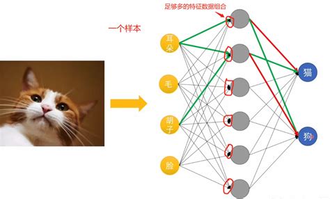 机器学习四大基本模型：回归、分类、聚类、降维 灰信网（软件开发博客聚合）