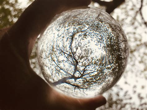perceptual spaces sarah pickthall sync leadership