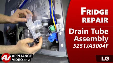Where Is The Drain On A Refrigerator At Michelle Dermody Blog