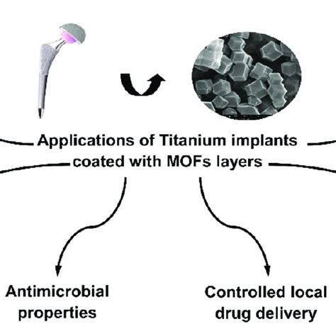 Examples Of The Applications Of Mofs As A Coating On Titanium Alloy Download Scientific Diagram