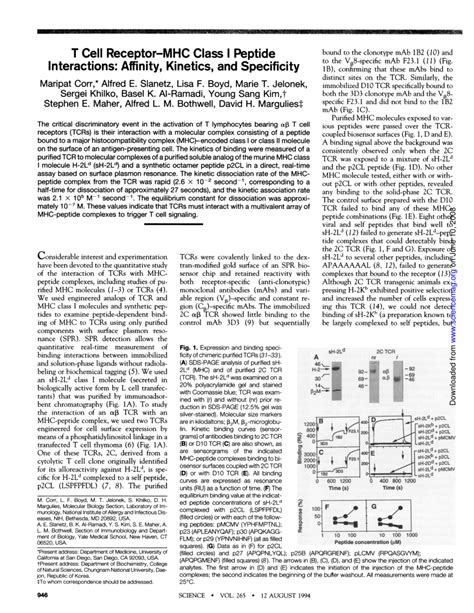 Pdf T Cell Receptor Mhc Class I Peptide Interactions Affinity Kinetics And Specificity