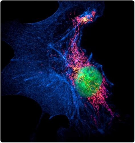 Super Resolution Fluorescence Microscopy