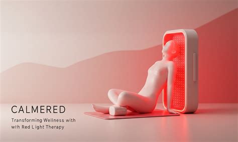 Chroococcus Characteristics Classification And Diagram Rajus Biology