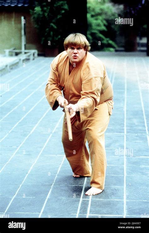 Beverly Hills Ninja Chef