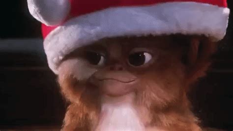 Gremlins Gizmo  Gremlins Gizmo Discover And Share S