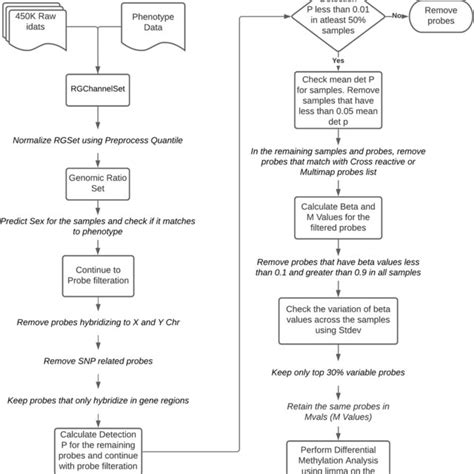 methylation array work flow the analysis steps for the methylation