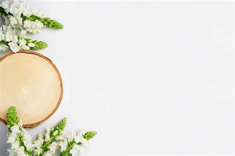 빈 나무 연단과 밝은 회색 배경 평면도에 흰색 꽃 신선한 자연 톱 컷과 화장품 광고를위한 녹색 가지 제품 프레젠테이션 모형 에코