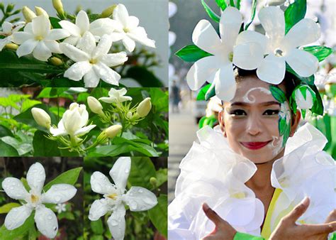 Ang Alamat Ng Sampaguita The Legend Of Jasmine Flower