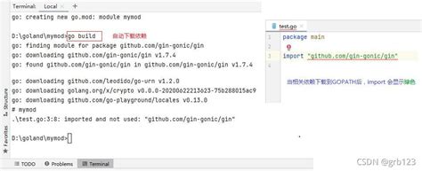 Goland2021使用包依赖管理工具 Go Modulesgoland使用go Module Csdn博客