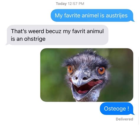 I Liek Osteoge To Rbadfaketexts
