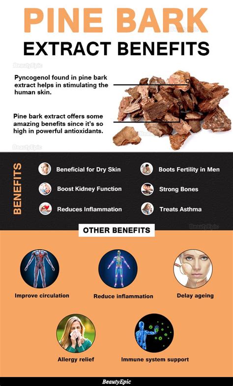 12 Pine Bark Extract Benefits For Health Why It S Good For You Artofit