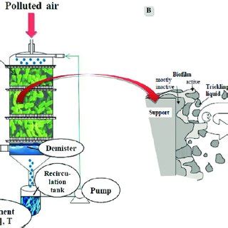 Schematic Diagram Of The Bioreactor Operation According To Part A