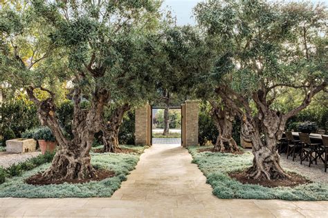 Balancing Wildness And Symmetry Stunning Landscape Design