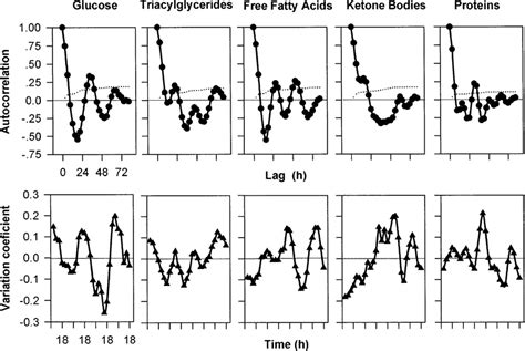Autocorrelograms Top And Temporal Profiles Of Smoothed And Normalized