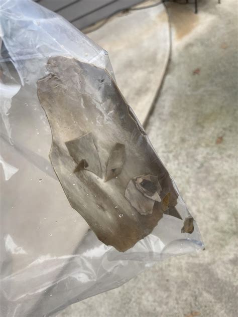 Is This A Calcium Build Up R Cleaningtips