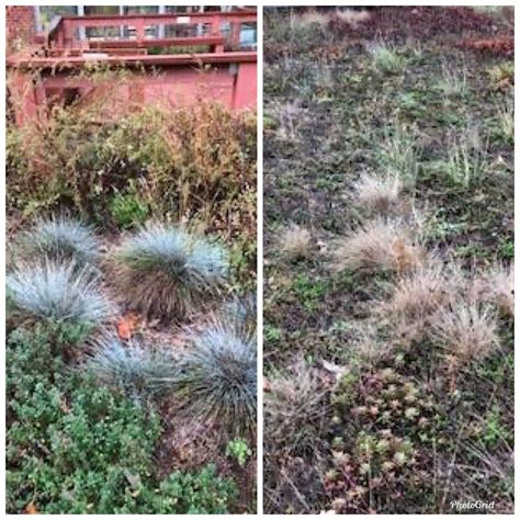 Microbiometer® à Luniversité DÉtat De Pennsylvanie Microbiometer