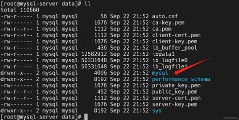 mysql学习笔记4——glibc版本安装 mysql binaries csdn博客