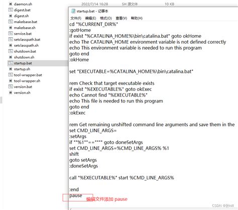 tomcat遇到闪退和using catalina opts 问题如何解决 oqsz csdn博客