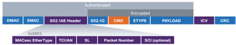 Macsec
