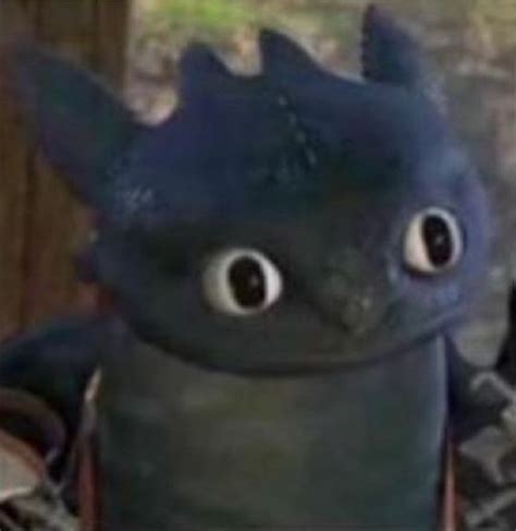 Pin By Xandiskovisk On Memes Cute Memes Httyd Funny Really Funny Pictures
