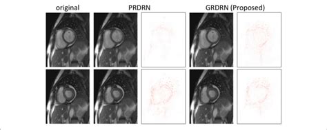 visualization of generated dynamic images with motion fields