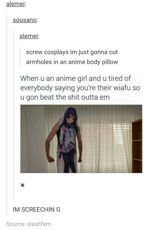 U Wot M8 Dakimakura Waifu Body Pillow Know Your Meme