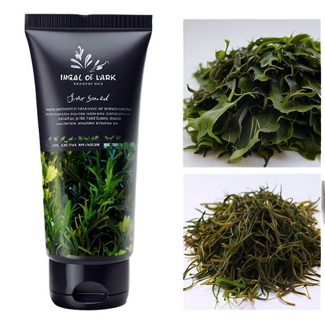 Seaweed Png Images 200