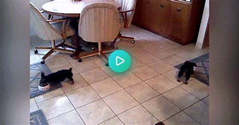 Sharing Is Caring  On Imgur