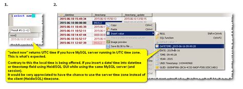 utc time zome support for date time input from heidisql