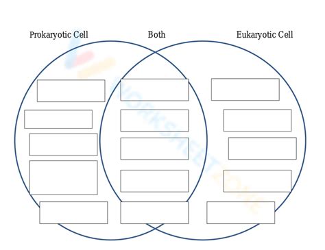 Prokaryotic Cell Worksheet